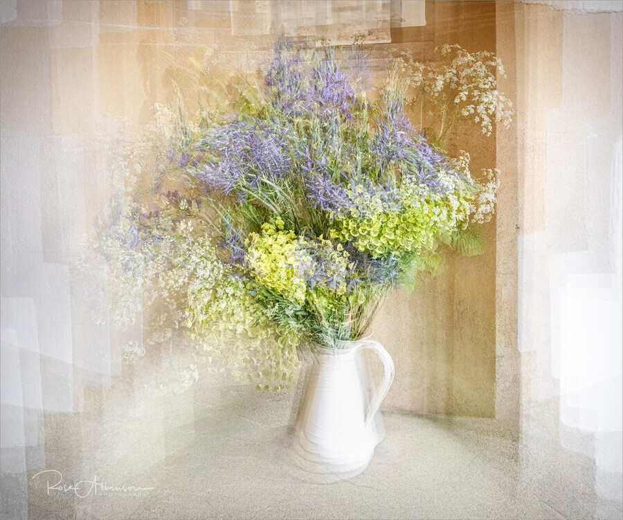 ROSE ATKINSON - Contemporary PhotoArt - Art with a Camera